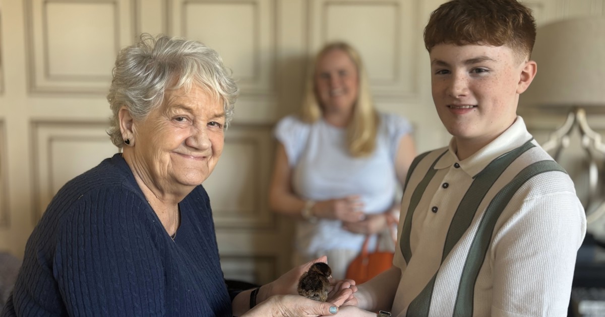 Smiles all round when cute chicks hatch at Glasgow care home