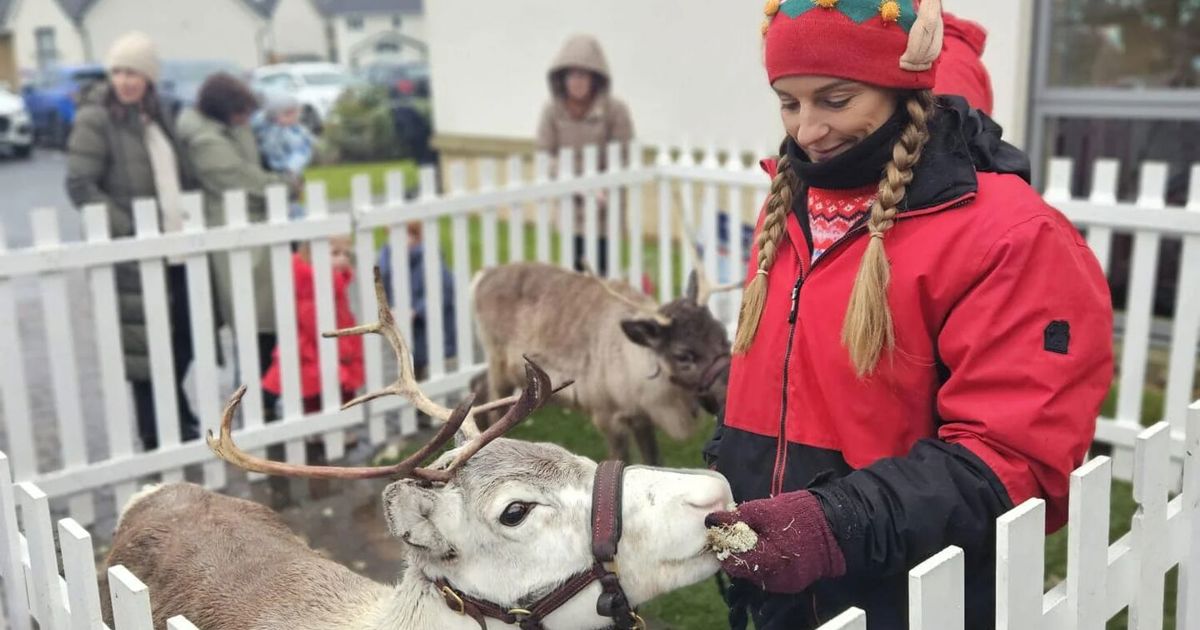 Deer Ivy and Hamish Woo the Crowd at Newton Mearns Care Home
